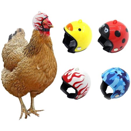 4 Pcs Chicken Helmet, Plastic Bird Head Protection Cap Safety Helmet ...