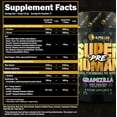 Alpha Lion Pre Workout, Increases Strength & Endurance, No Crash ...