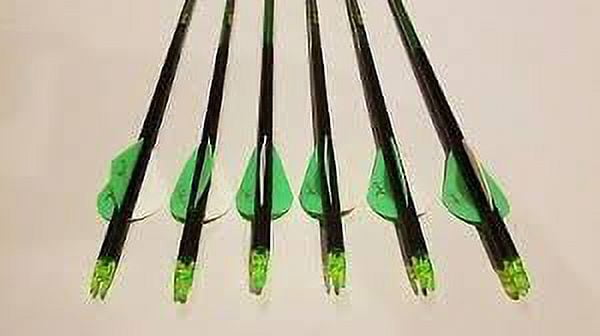 Carbon Express Wolverine Hunter Compound Bow 55-70 lb Draw Weight, 30 ...