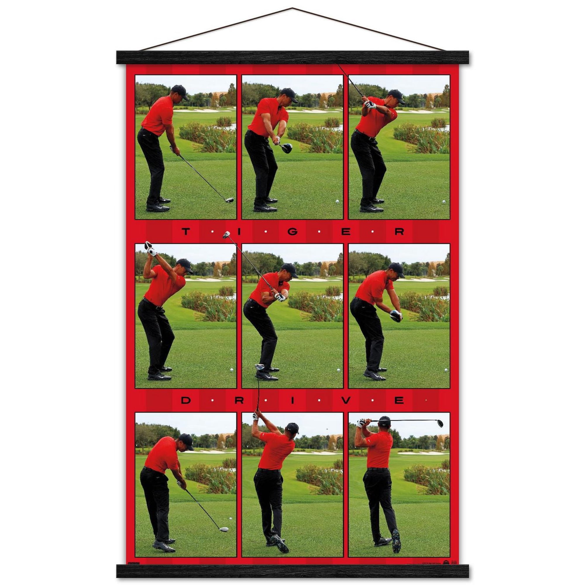 Click here for Trends International Tiger Woods - Drive Wall Post... prices