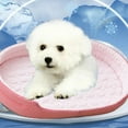 Leodye 1PCS Summer Cooling Pet Mattress Soft Removable Home Indoor ...