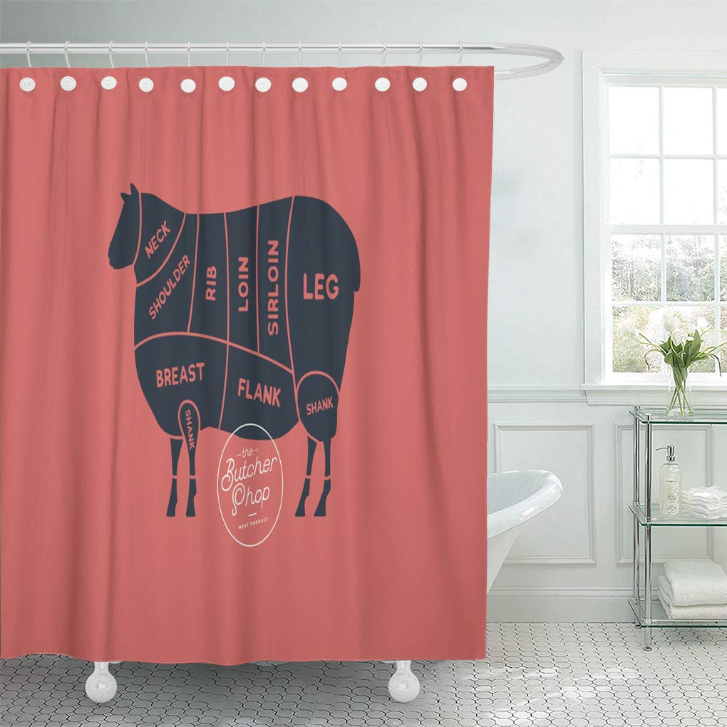 PKNMT Food Meat Cuts Diagrams for Butcher Scheme of Lamb Animal ...