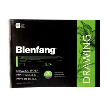 Free Shipping! Canson Artist Series Pure White Drawing Pad, 18in x 24in ...