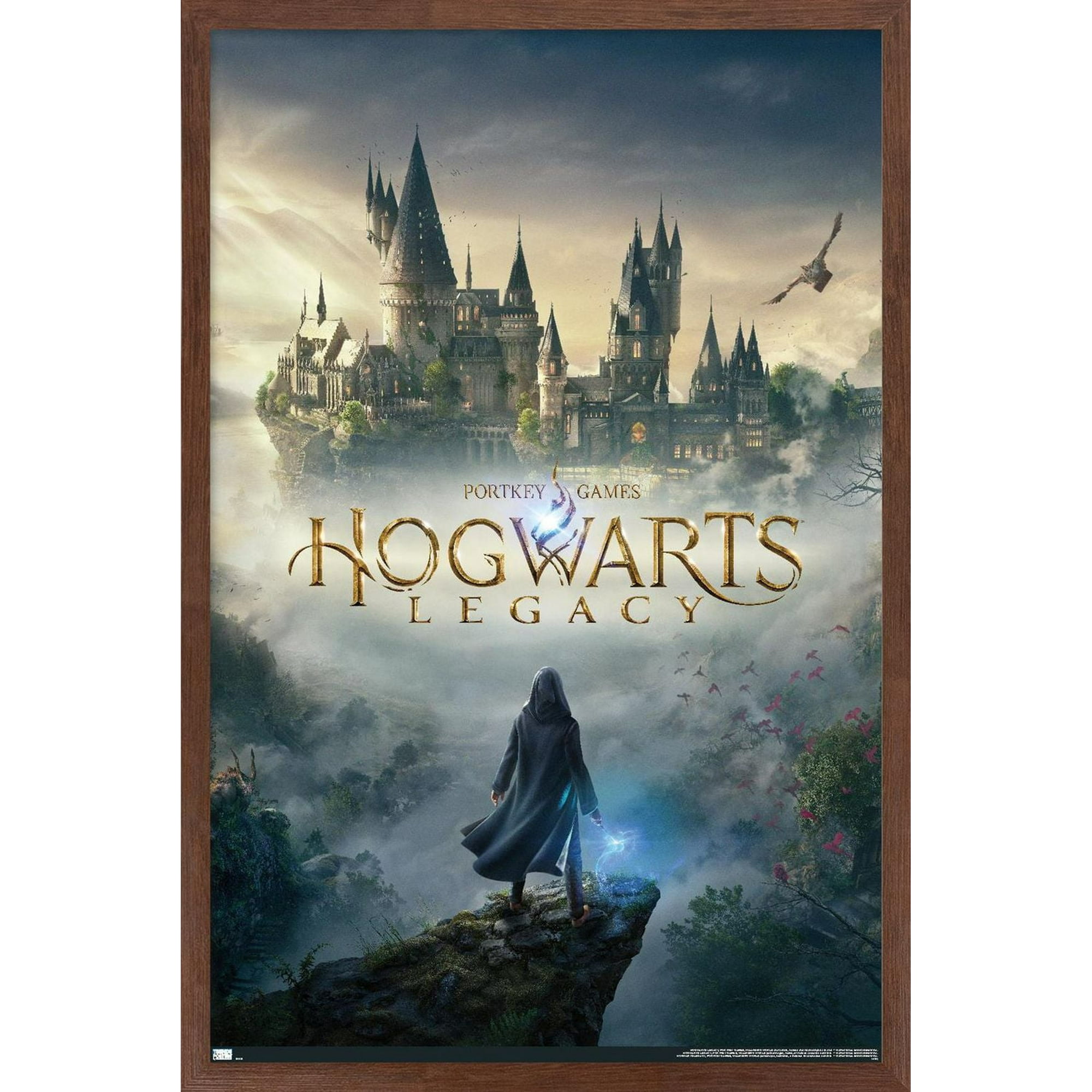 Click here for Trends International Harry Potter: Hogwarts Legacy... prices