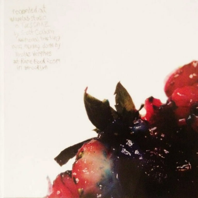 Animal Collective Strawberry Jam