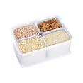 BingTong Ice Powder Box – 10.4 x 7.9 x 4.1 Inch Plastic Seasoning ...