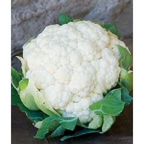 Pak Choi, White Stem Cabbage Seeds - 200 Seeds, Crisp, Tender, Asian ...