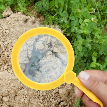 COSMOBETTY Explore Magnifier 10Pcs Mini Plastic Handheld Magnifier for ...