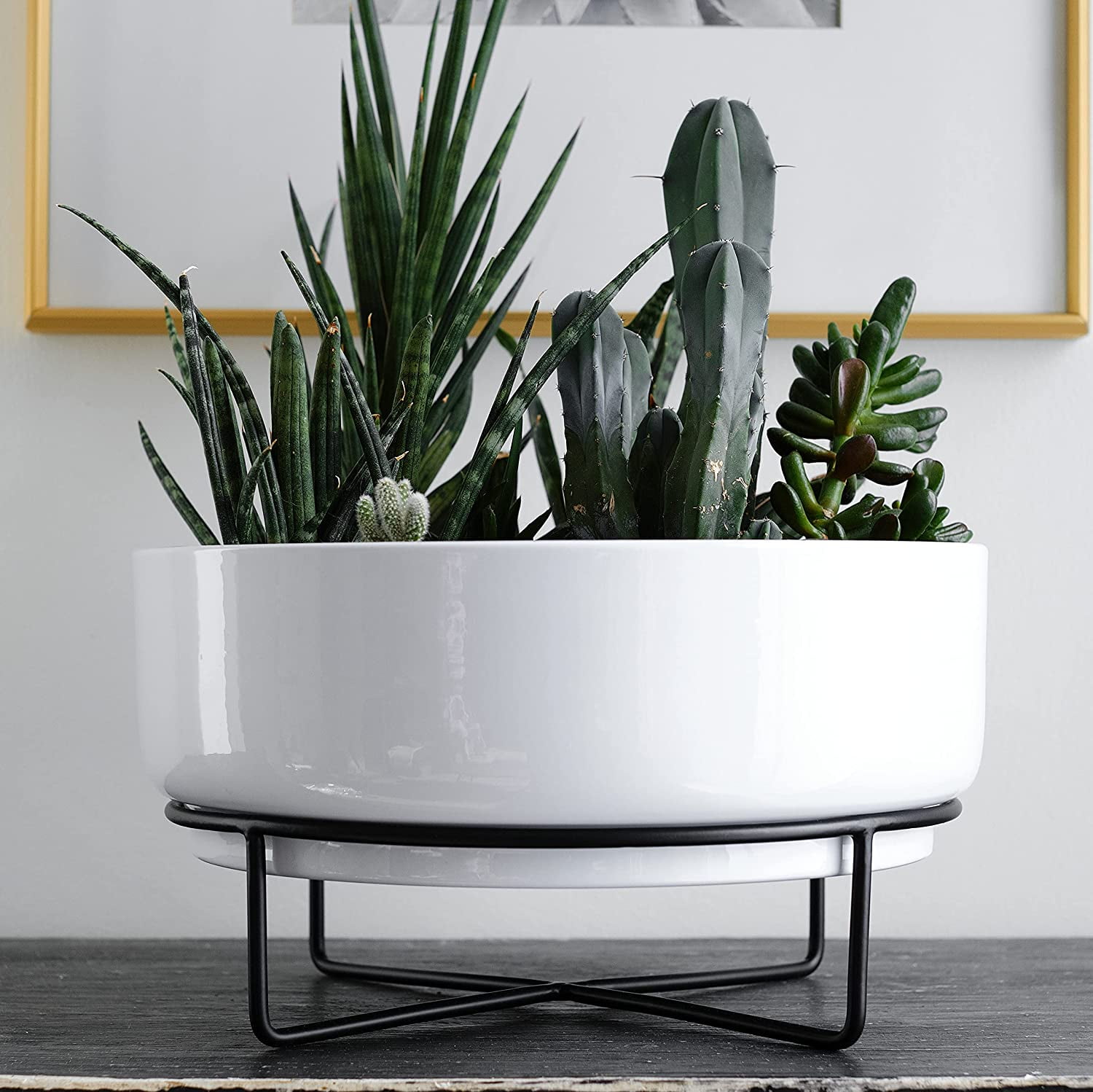 2 Inch Large Round Succulent Planter Bowl, White Metal Pot with Black ...