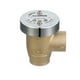 Watts 288A Anti-Siphon Vacuum Breaker 1/2 In., Brass, Lead Free ...