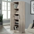 Sauder HomePlus 2-Door Storage Cabinet, Chalked Chestnut Finish ...