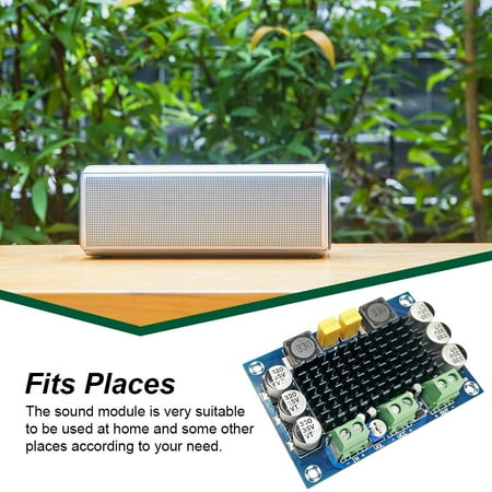 Amplifier Board 2 Channel Professional Dual Channel Portable Volume ...