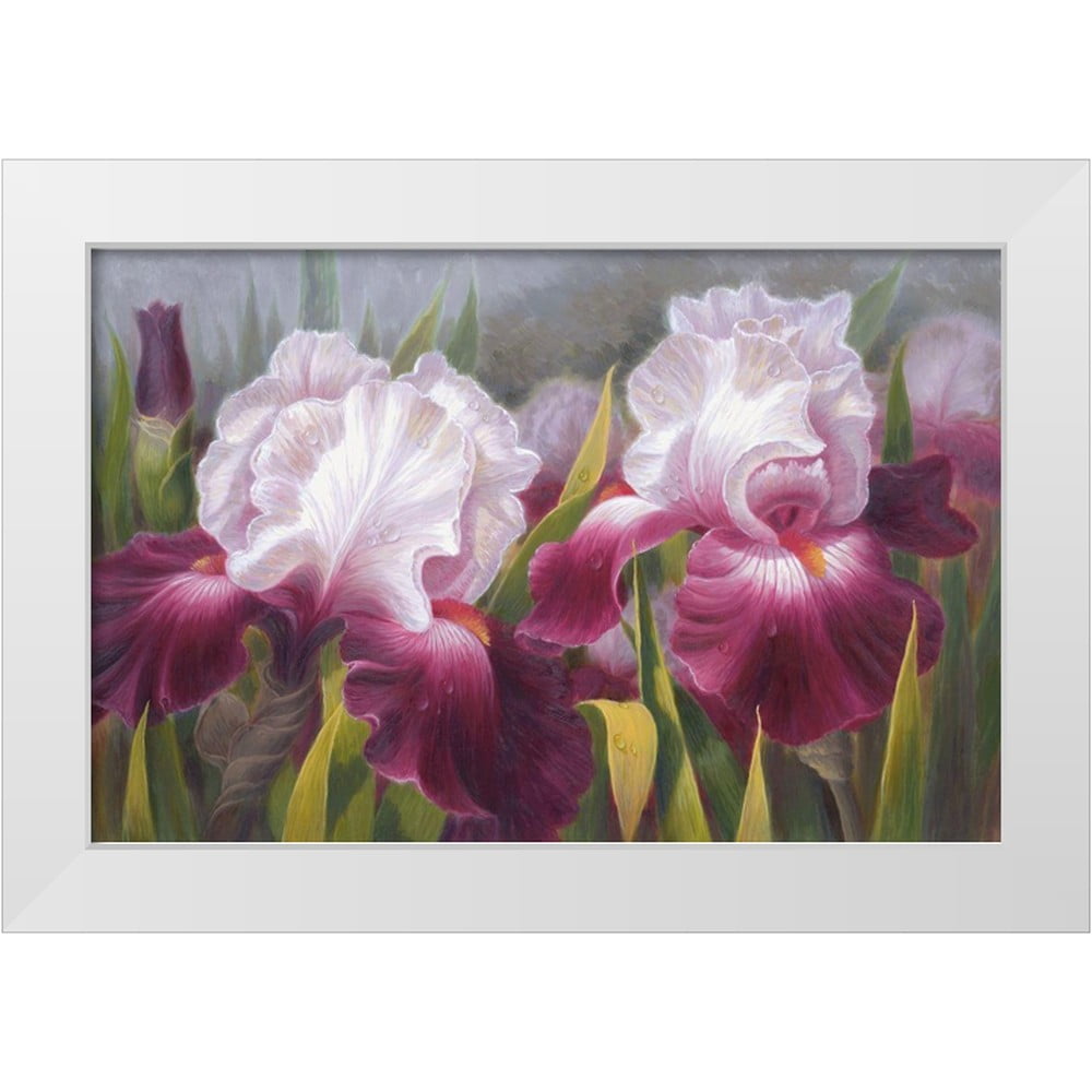 Murphy, John 32x22 White Modern Wood Framed Museum Art Print Titled ...