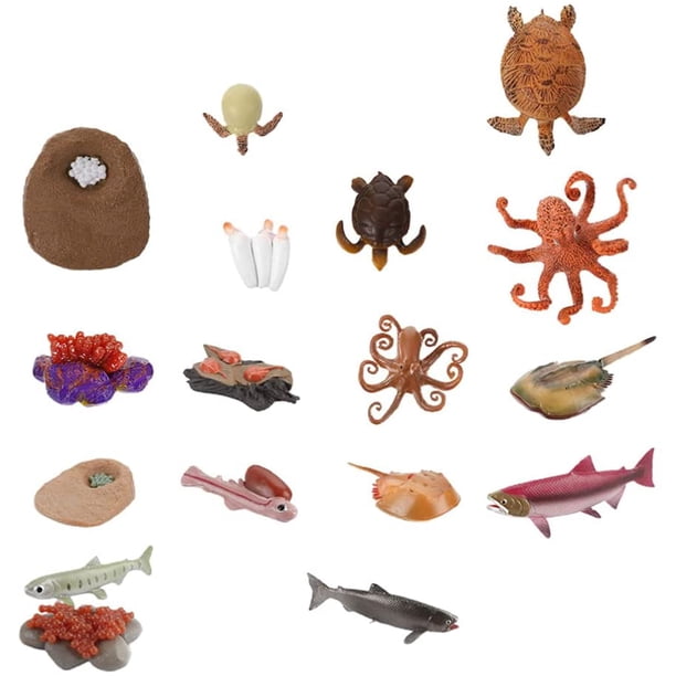 4 Sets Life Cycle Figurines of Horseshoe Sea Turtle Crab Octopus Salmon ...
