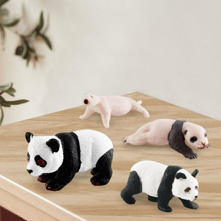 Panda Life Cycle Project Montessori Panda Life Cycle And Parts Of A