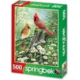 Cardinal Sympathy Gift Set Includes a Golden Light Bird Puzzle, Musical ...