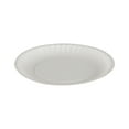 "Dixie White Disposable Paper Plates, 6"", 2 Packs of 500, 1,000 Count ...