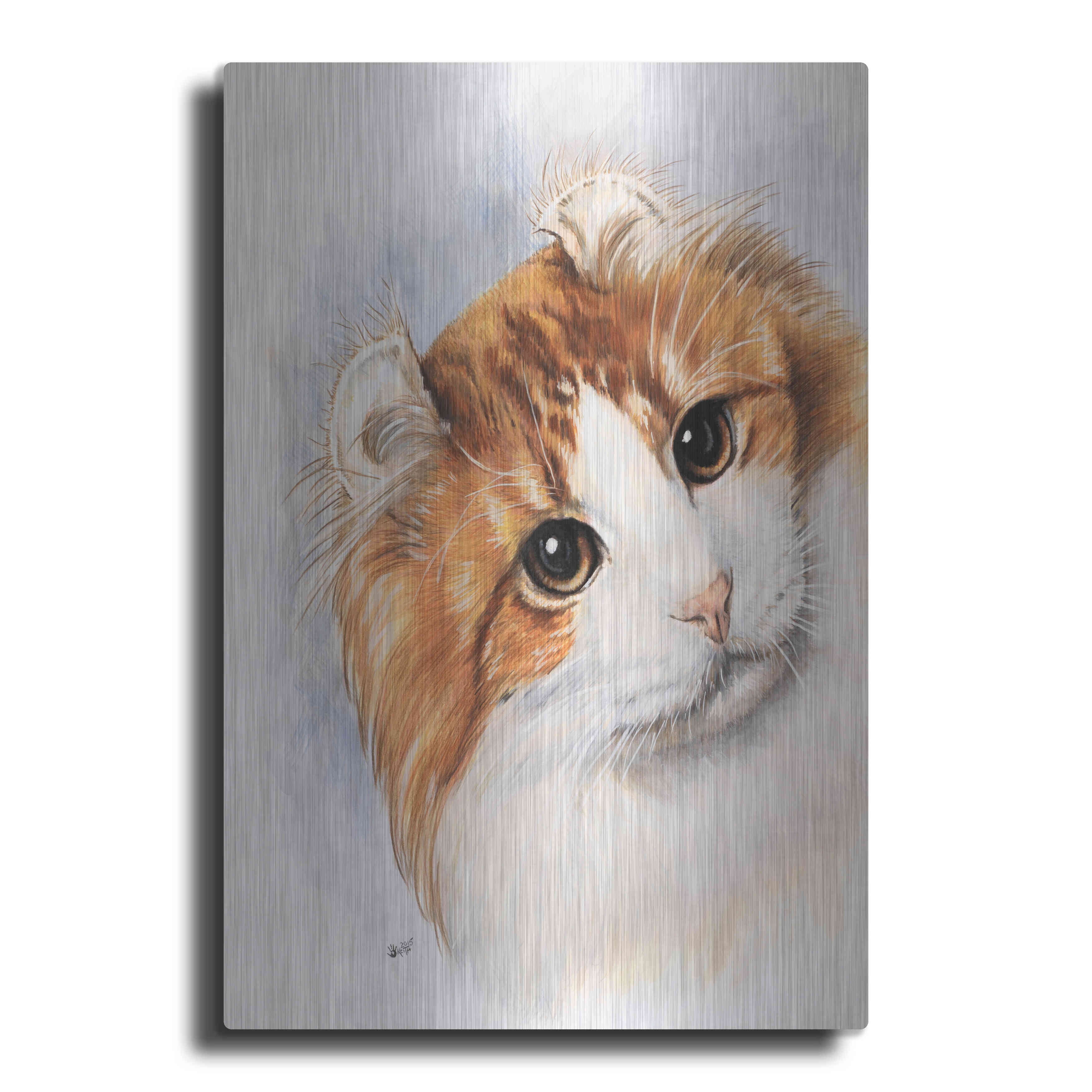 Luxe Metal Art 'American Curl 2' by Barbara Keith, Metal Wall Art, 12 ...