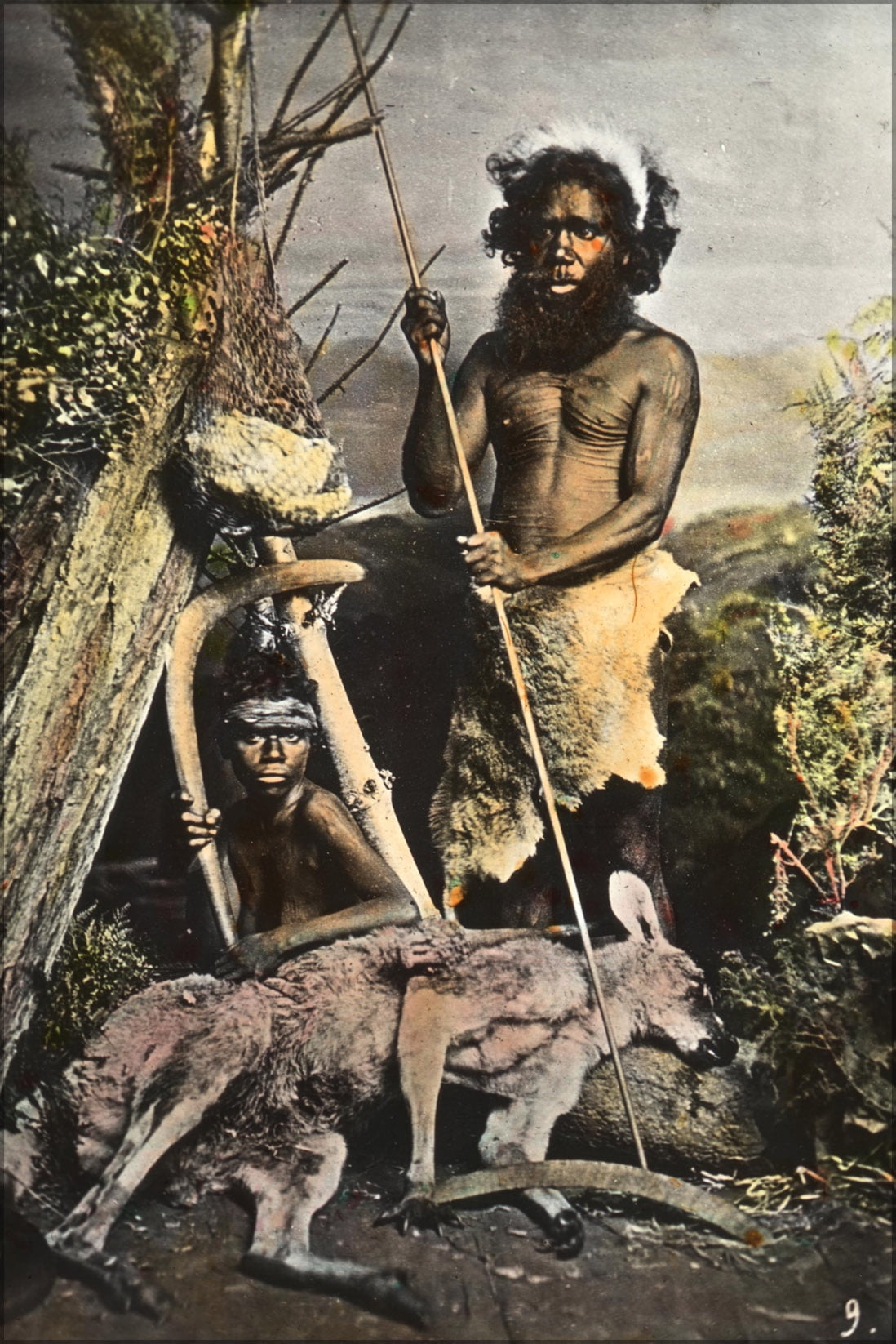 24"x36" Gallery Poster, Native Australian - Walmart.com