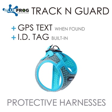Blue Frog Track N Guard Protective GPS Tracking Dog Collar, Rose Gold ...