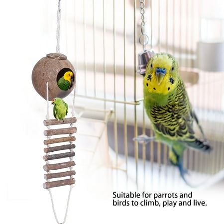 Coconut Shell, Coconut Shell , Natural For Birds Parrots Pets Animals ...