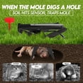 2 Pack with 4 Flags- Stainless Steel Ground Mole Traps, Easy Step Setup ...