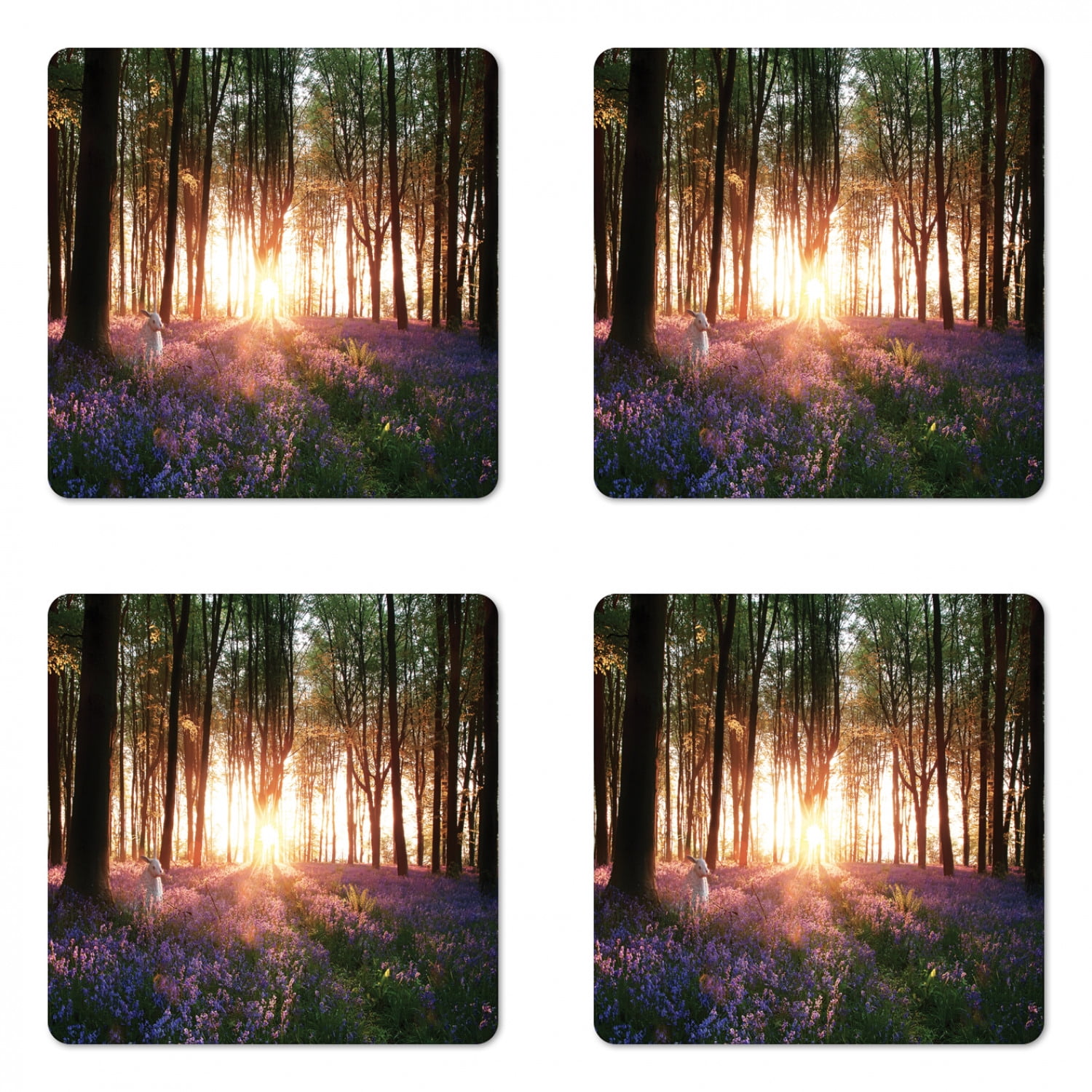 Forest Coaster Set of 4, Bluebell Woods Sunrise with White Rabbit Sunny ...