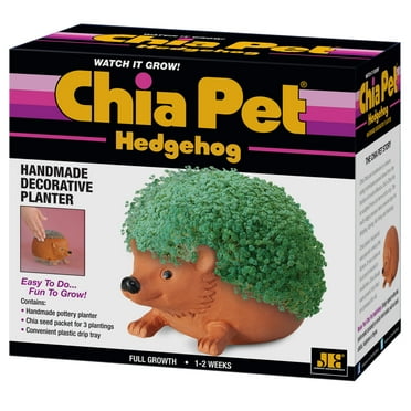 Chia Pet Puppy - Decorative Pot Easy to Do Fun to Grow Chia Seeds ...