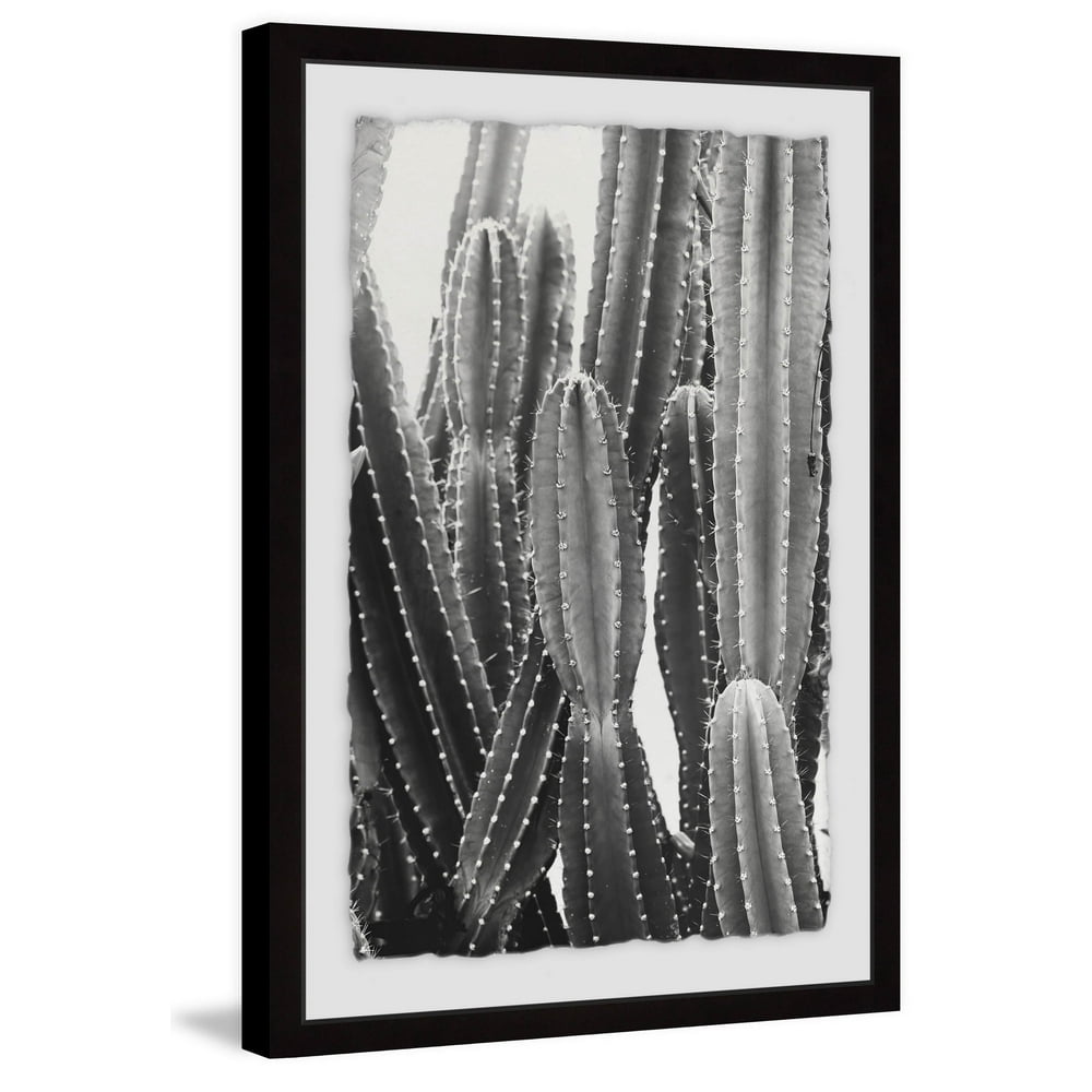 Vintage Cactus Framed Painting Print - Walmart.com - Walmart.com