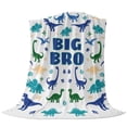 Big Bro Fleece Throw Blanket Cartoon Green Blue Yellow Dinosaurs ...