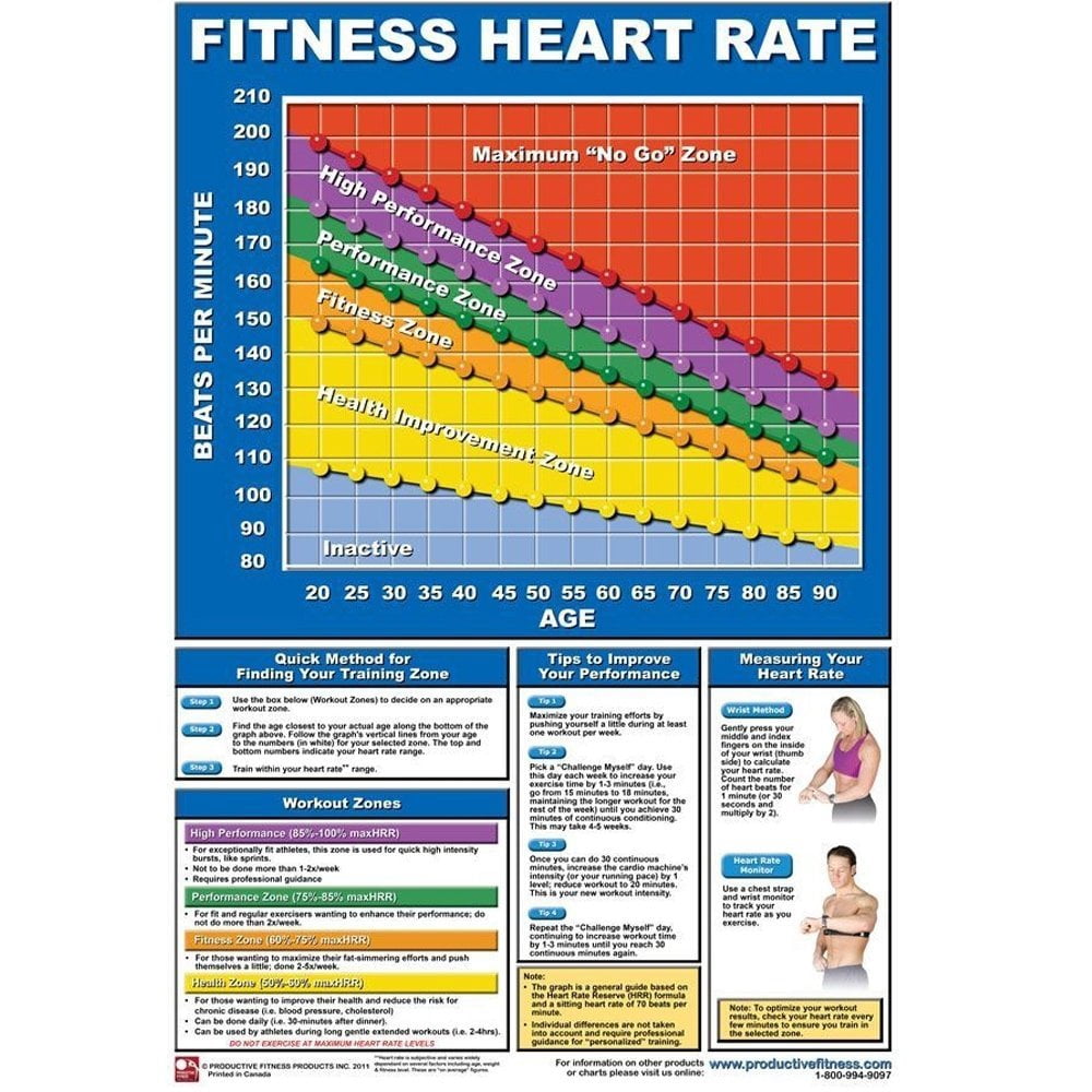 Productive Fitness Poster Series Heart Rate Chart Laminated Walmart