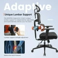 CJC Ergonomic Office Chair, Computer Desk Chairs, High Back Desk Chair ...
