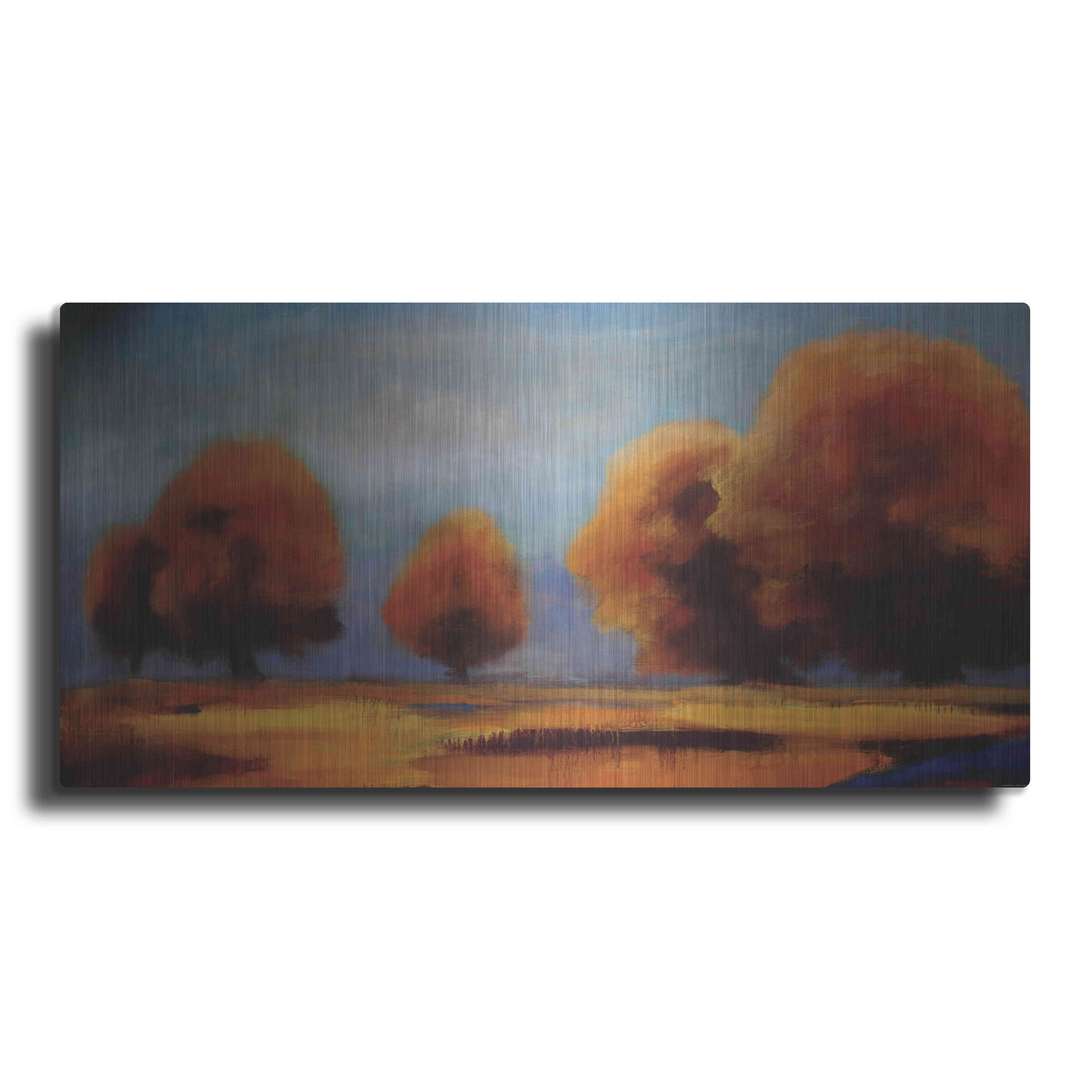 Luxe Metal Art 'Western Sky' by Jadei Graphics, Metal Wall Art, 24"x12 ...