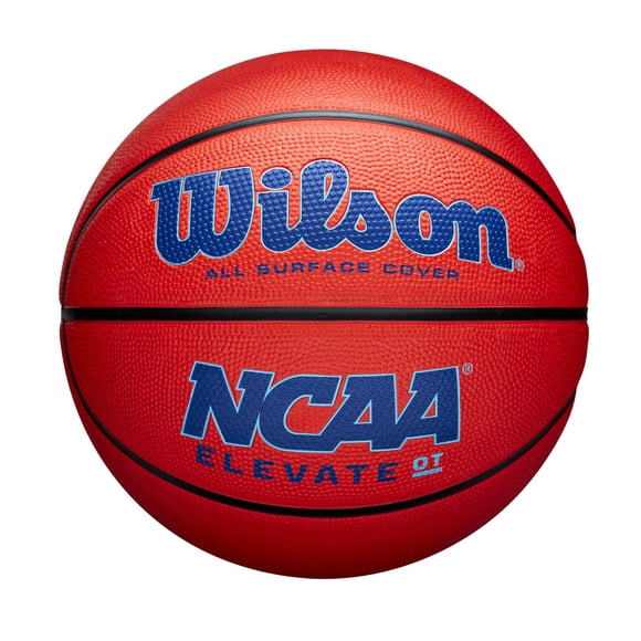 Wilson Basketballs | Walmart.ca