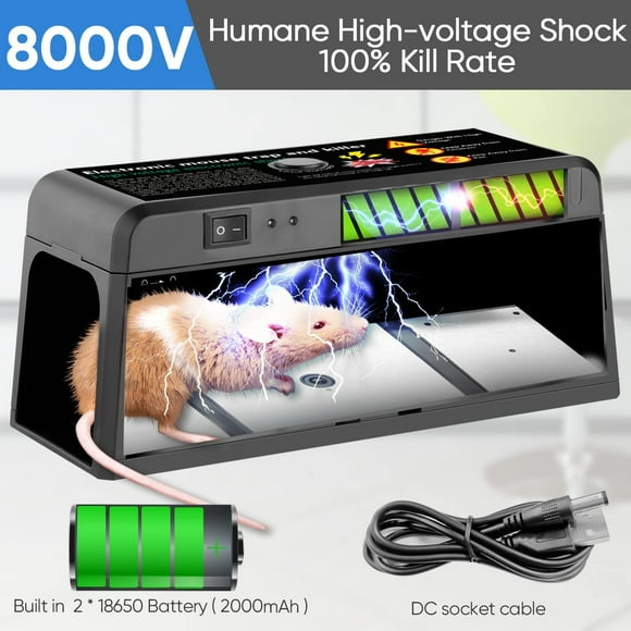 Electric Mouse Traps