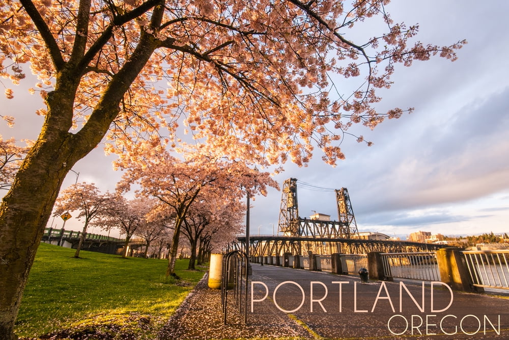 Portland, Oregon, Cherry Blossoms and Waterfront (12x18 Wall Art Poster ...