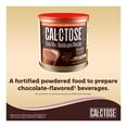 Cal-C-Tose Drink Mix Chocolate 14.1 oz with 17 Vitamins and Minerals ...