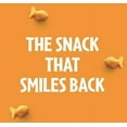 Goldfish Giant Graham Crackers, 30 Packs, 15 Cinnamon, 15 Vanilla, 27.0 ...