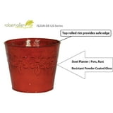 Robert Allen MPT01889 Fluer De Lis Series Metal Planter Flower Pot, 6 ...