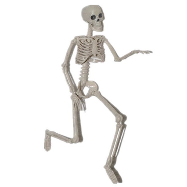 Halloween Skeleton Decoration 16'' Poseable Full Life Size Human ...