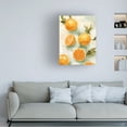 Emma Scarvey 'Fresh Citrus V' Canvas Art - Walmart.com