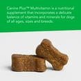 VetriScience Canine Plus Daily Multivitamin Supplement for Senior Dogs ...