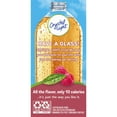 Crystal Light Raspberry Green Tea Sugar Free Drink Mix Singles, 10 ct ...