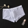 Mens Exotic Apparel Men'S Ice Silk Transparent Triangle Pants Low Waist ...