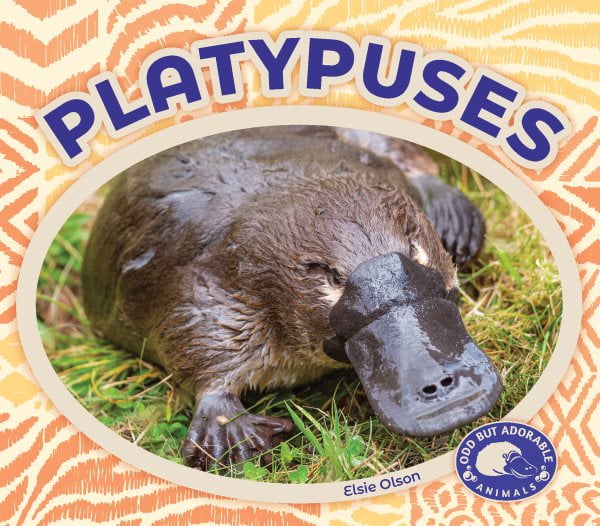Pre-Owned Odd But Adorable Animals Platypuses, (Hardcover) - Walmart.com