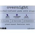 Overnight Herbal Menstrual Pads with Wings, 12 Count - Walmart.com