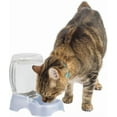 Petmate, Pet Cafe Waterer, XS, 0.25 gal, Pearl Silver - Walmart.com