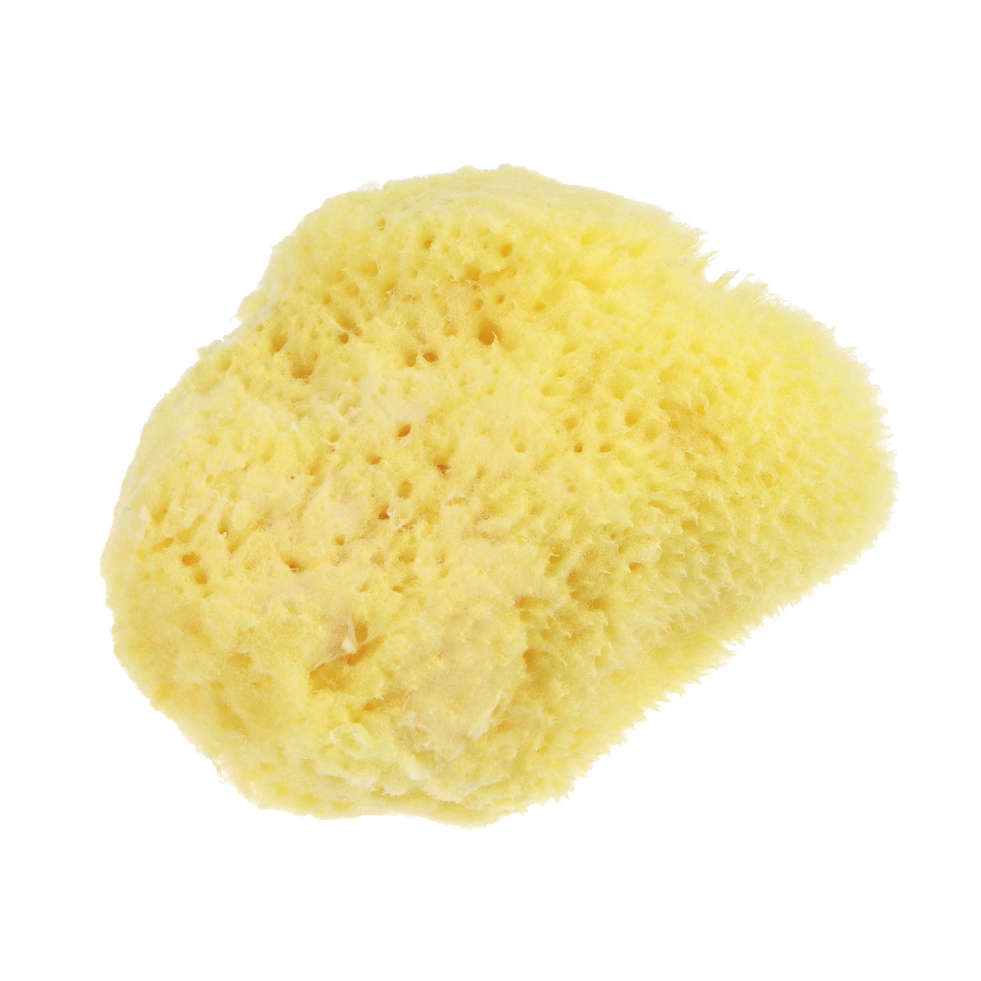 Uxcell 1.5" - 2" Painting Supplies Knockdown Texture Sea Sponge ...