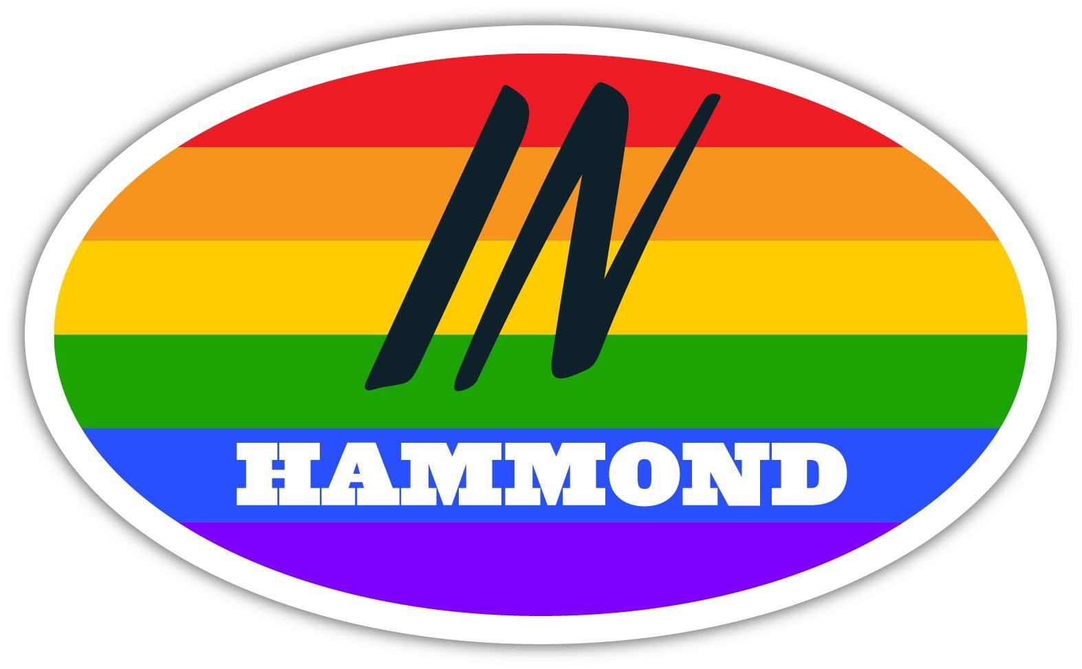 Hammond IN Indiana Lake County Rainbow Pride Flag 6 Stripes Pride Flag ...