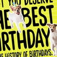Hallmark Funny Birthday Card (You Deserve the Best Birthday Ever ...
